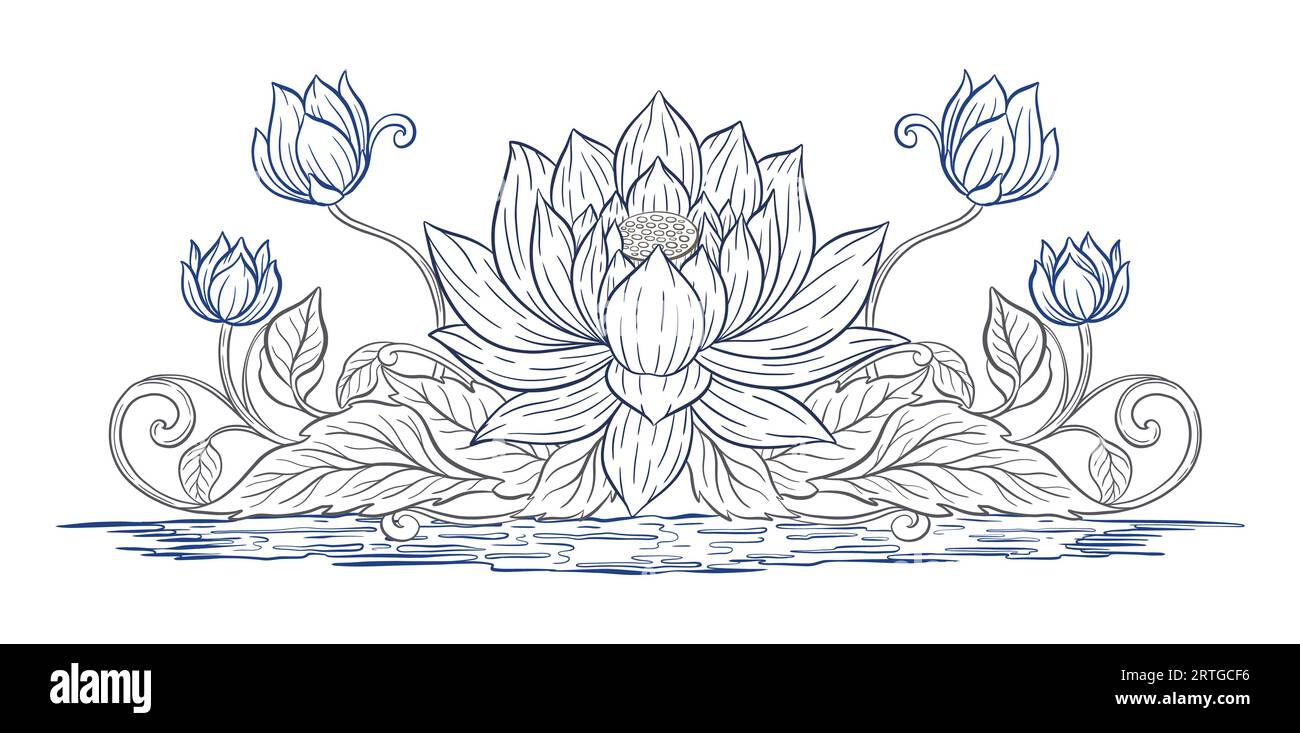 Lotus and leaf sketch with fine graceful lines. Isolated flower on ...