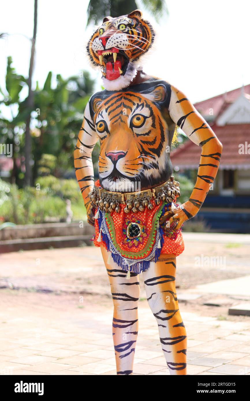 kerala festival -pulikali (tiger dance Stock Photo - Alamy