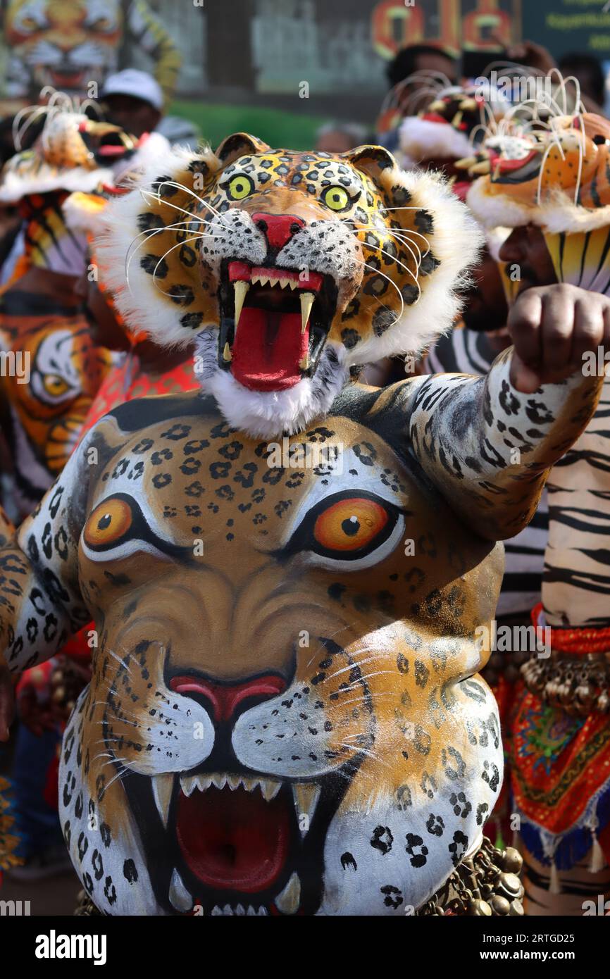 kerala festival -pulikali (tiger dance Stock Photo - Alamy