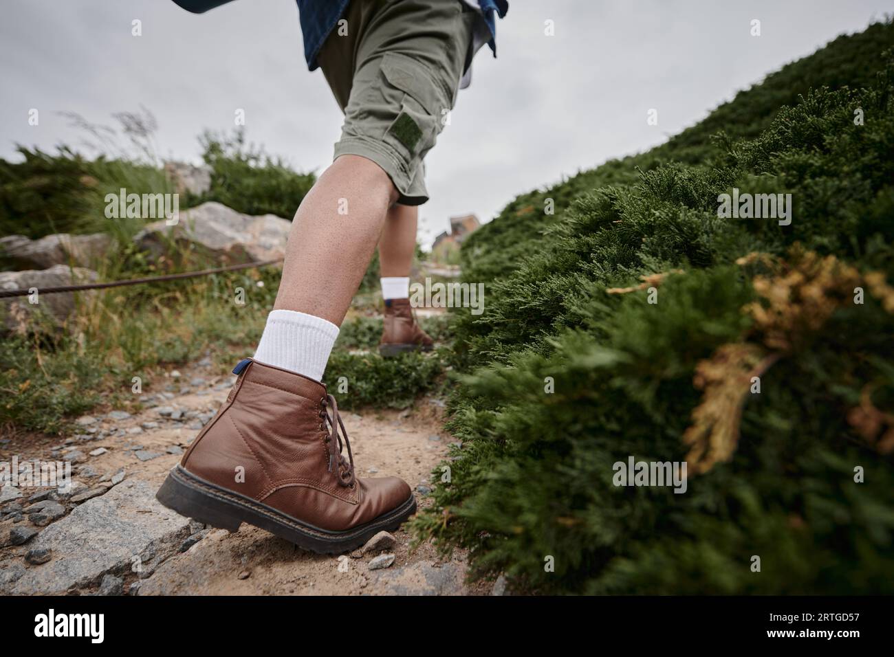 wild nature, cropped view of hiker walking in brown boots with white ...