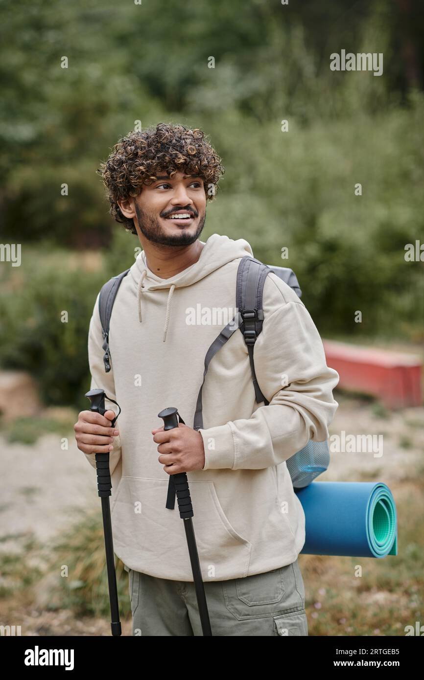 cropped view of tourist holding trekking pole on path in forest, travel ...