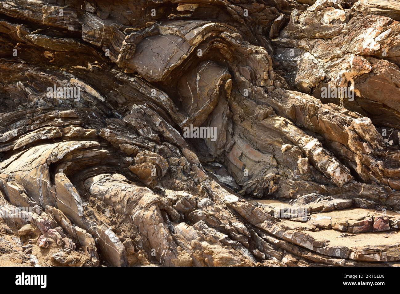 Carboniferoues hi-res stock photography and images - Alamy