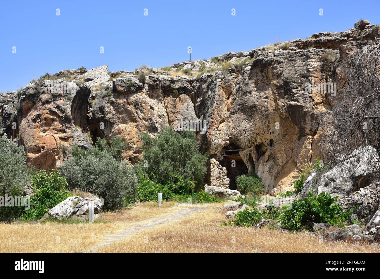 Travertine is a sedimentary rock formed by calcium carbonate ...
