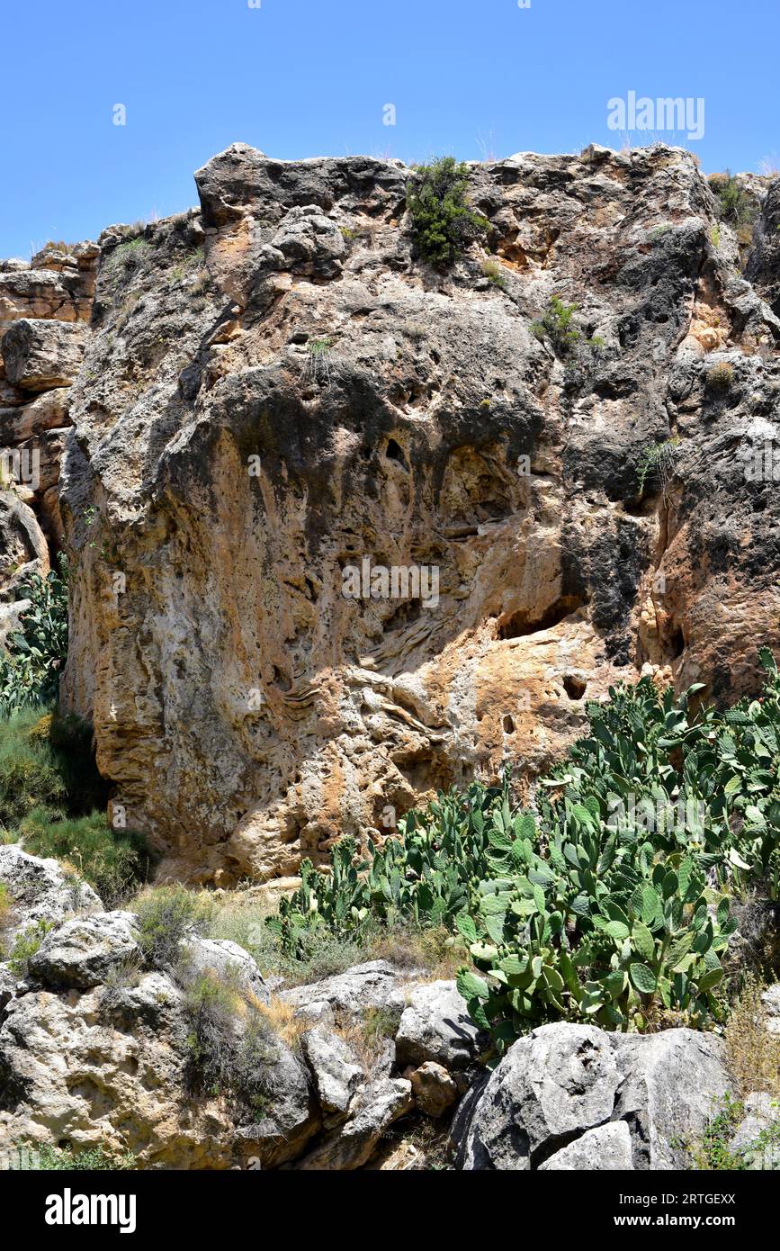 Travertine is a sedimentary rock formed by calcium carbonate ...