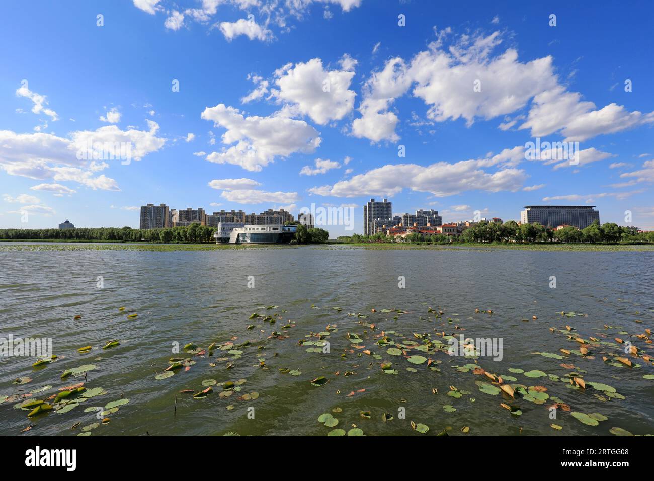 Waterfront city scenery, North China Stock Photo - Alamy