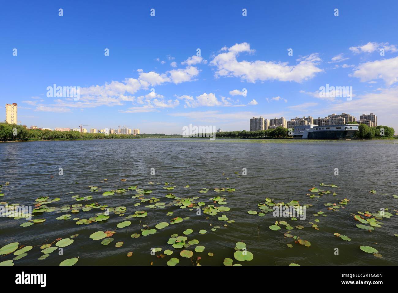 Waterfront city scenery, North China Stock Photo - Alamy