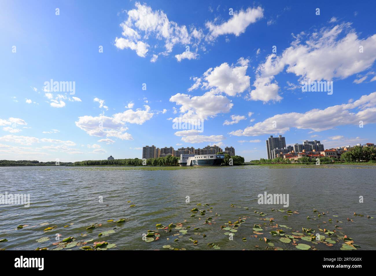 Waterfront city scenery, North China Stock Photo - Alamy