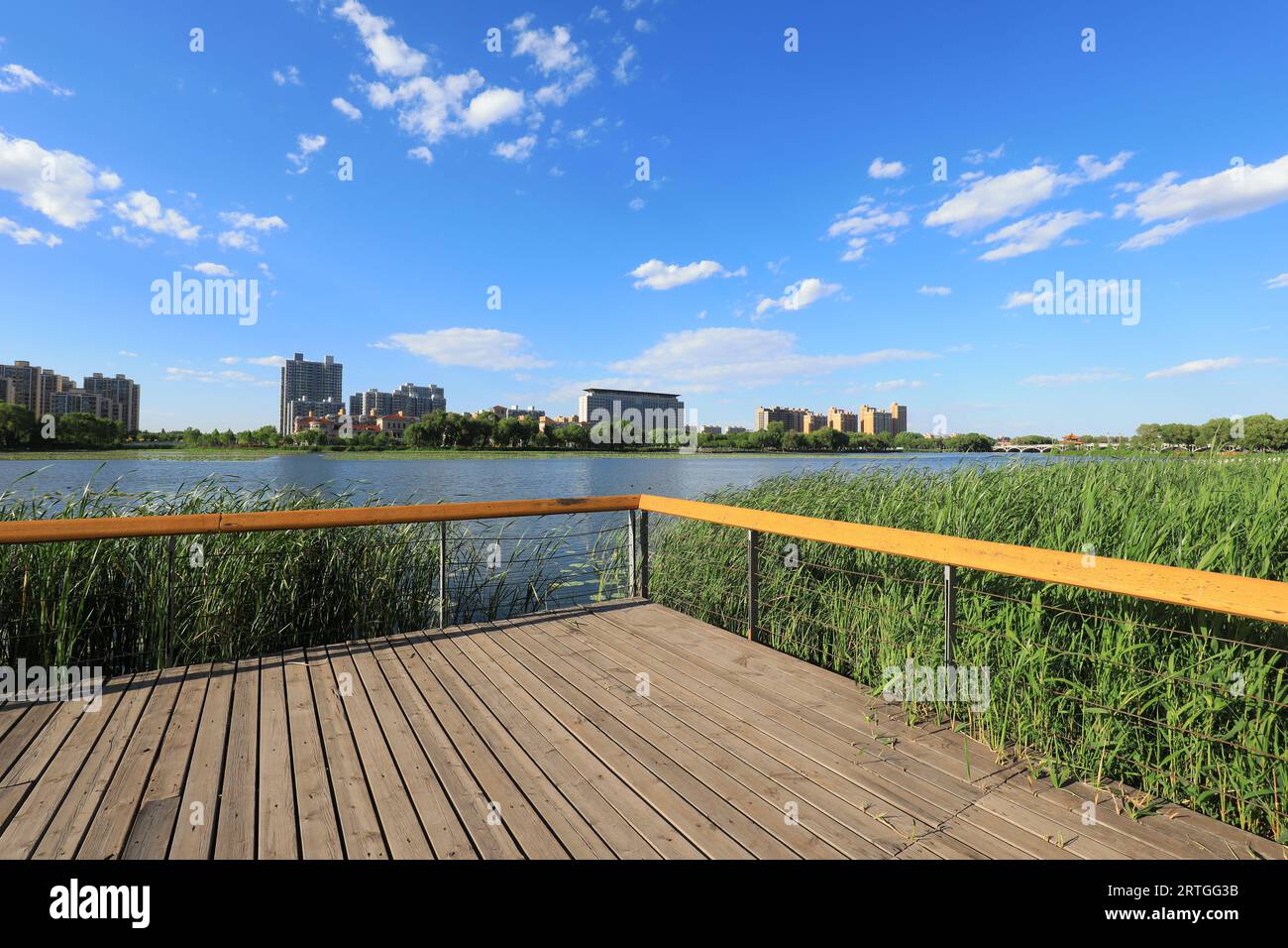 Waterfront city scenery, North China Stock Photo - Alamy