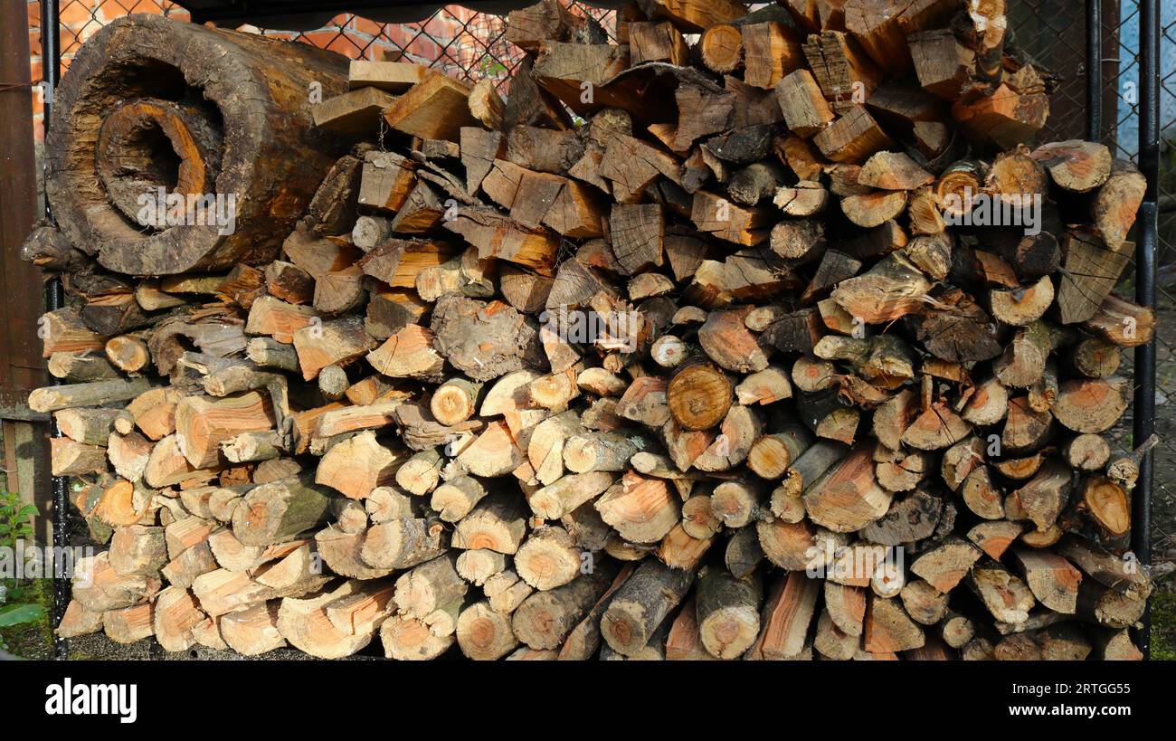 a woodpile of thin logs lying unevenly in natural sunlight, a place for ...
