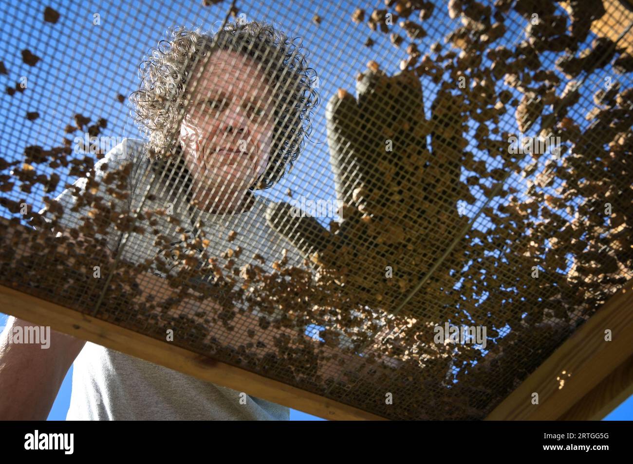 Archaeologists sieve hi-res stock photography and images - Alamy