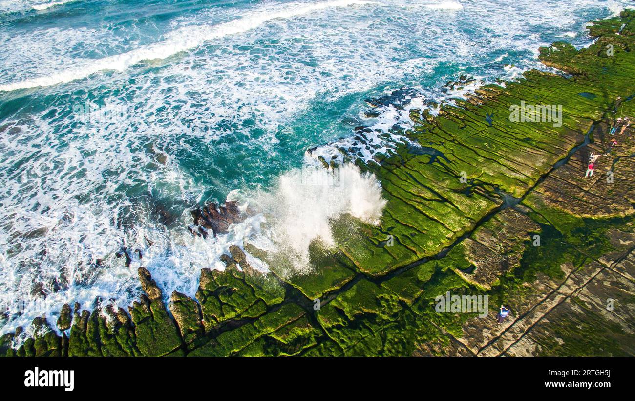 A scenic ocean beach with a lush green patch of shallow water Stock ...
