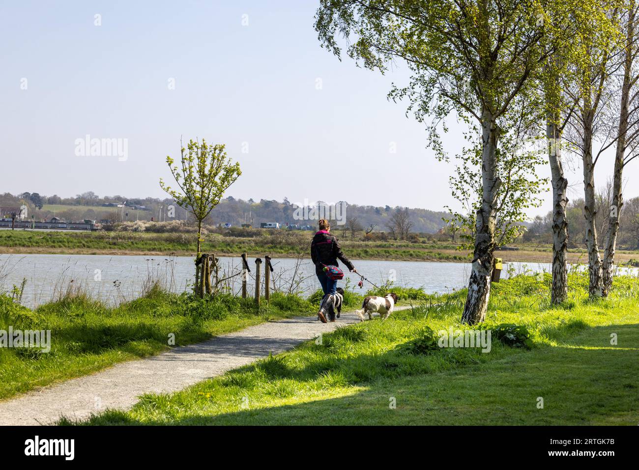 River colne colchester hi-res stock photography and images - Alamy