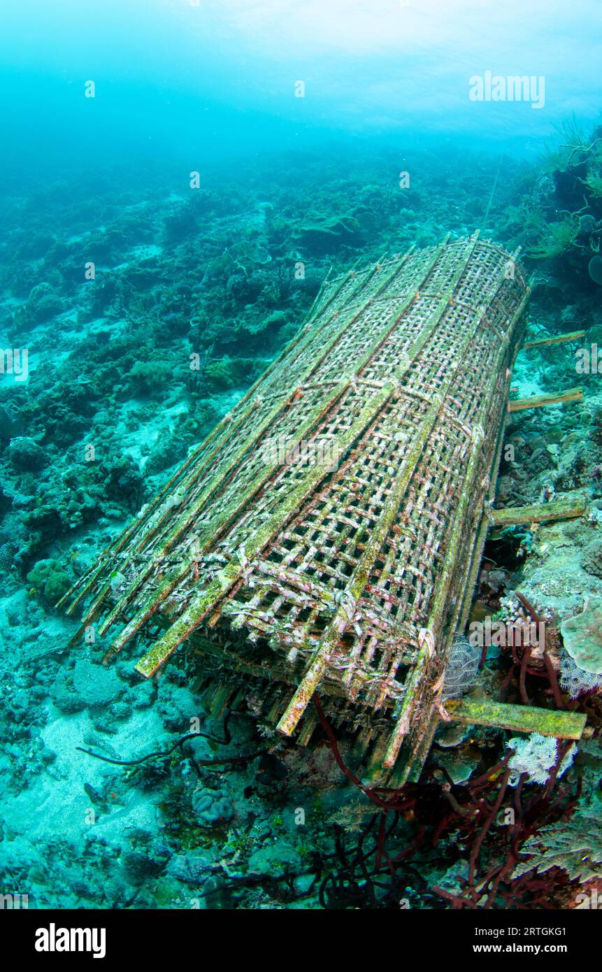 Fish trap, The Cove dive site, Atauro Island, East Timor Stock Photo ...