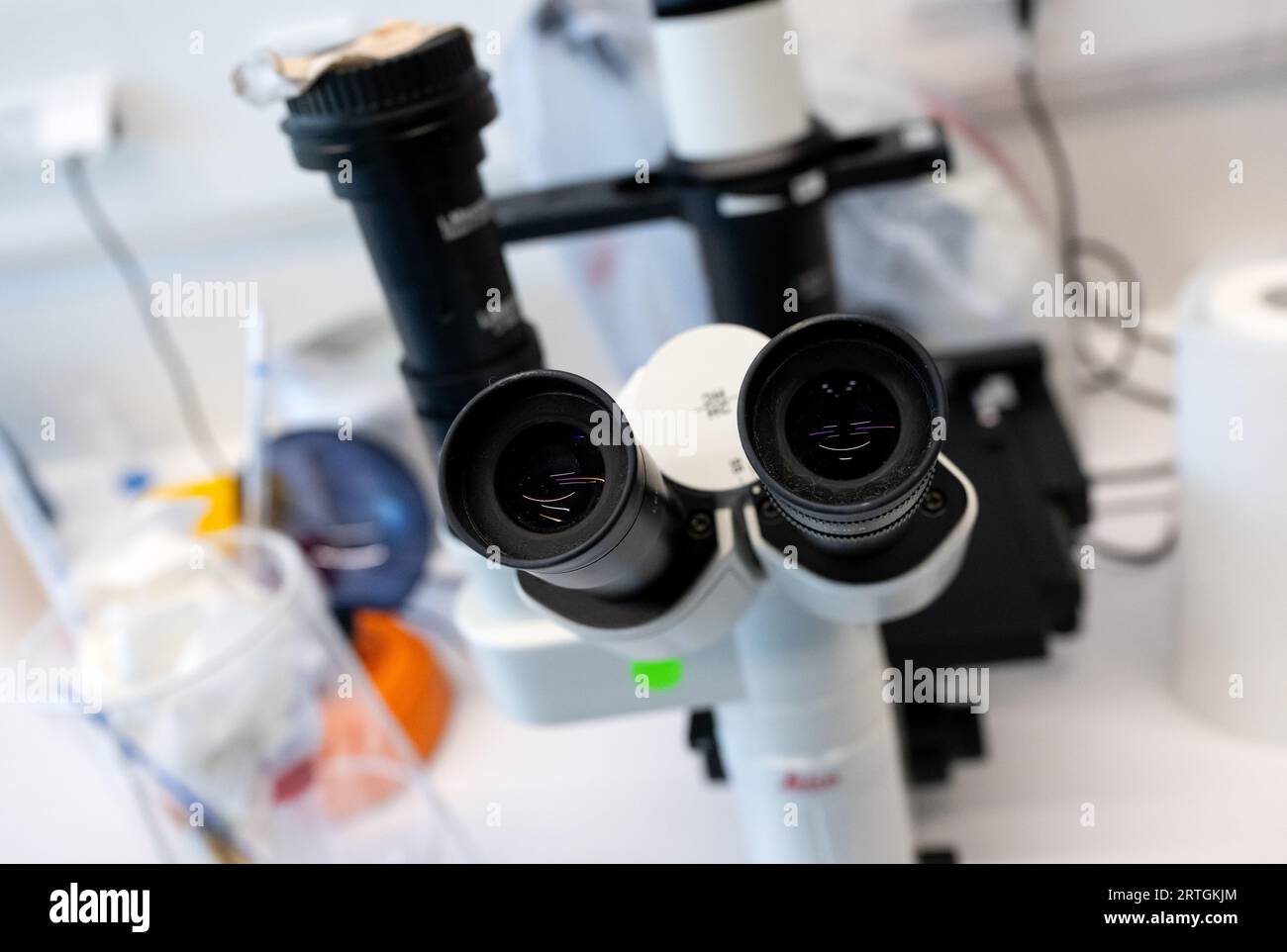 PRODUCTION - 11 September 2023, Bavaria, Oberschleißheim: A microscope ...