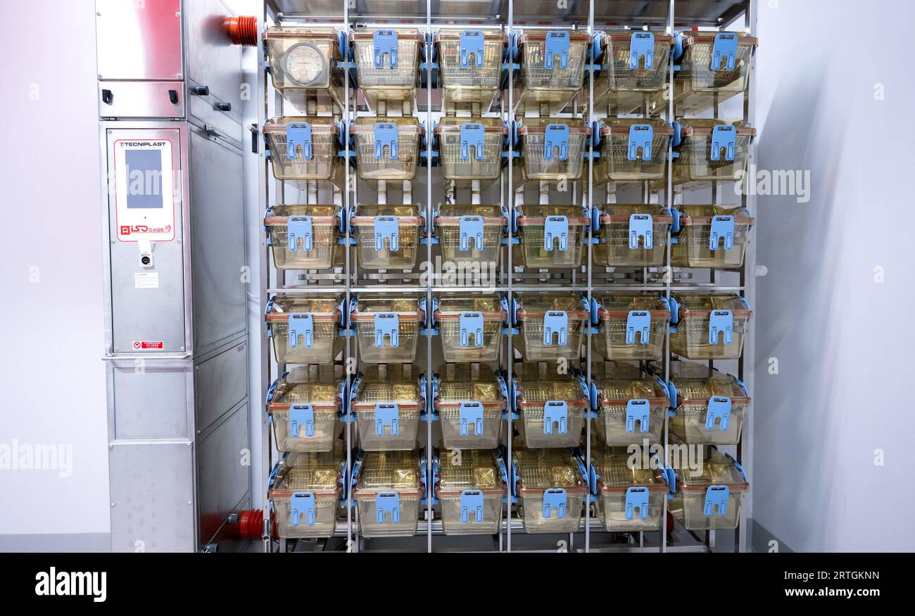 PRODUCTION - 11 September 2023, Bavaria, Oberschleißheim: Cages for ...