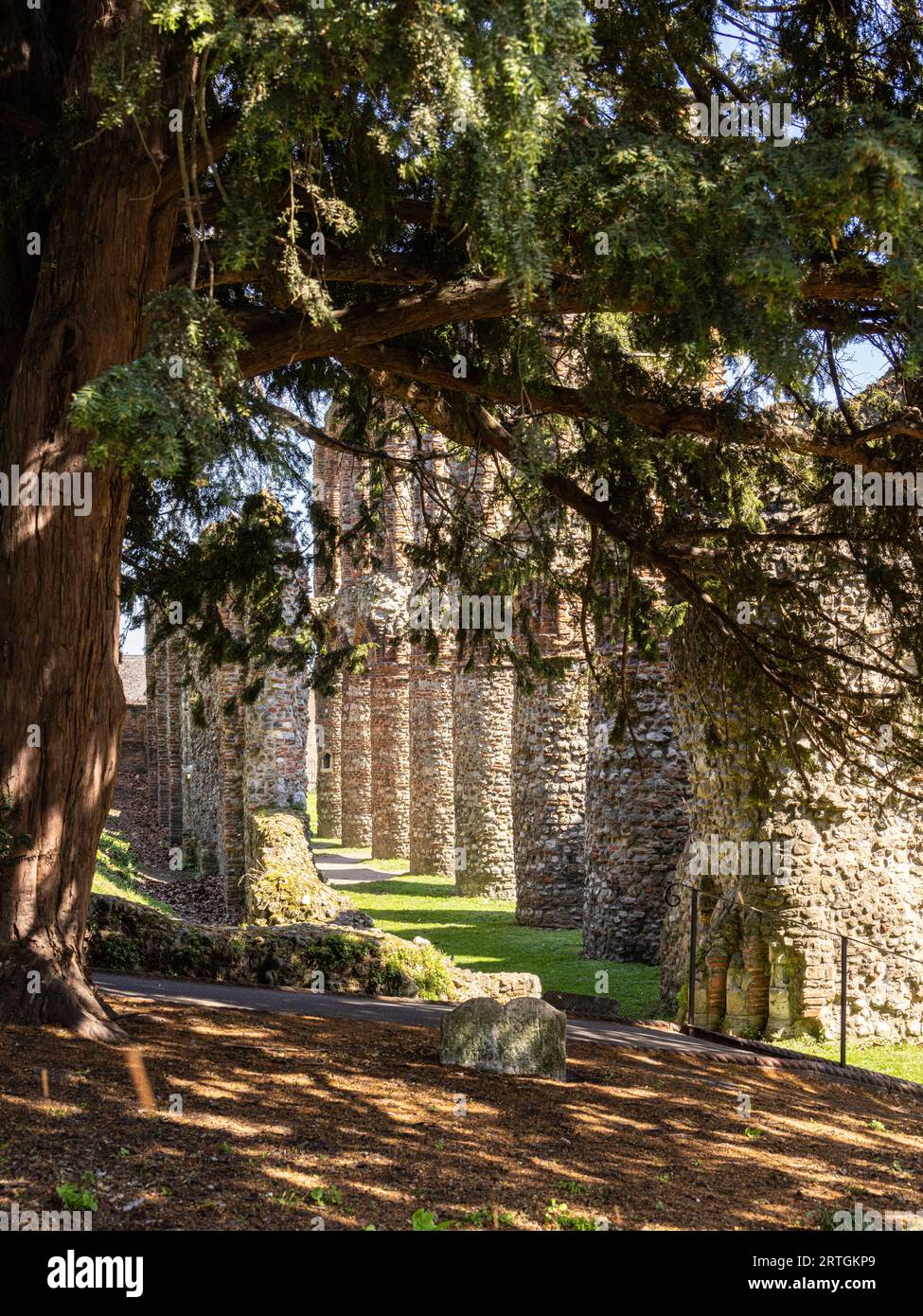 St Botolph's Priory Colchester Essex UK Stock Photo - Alamy