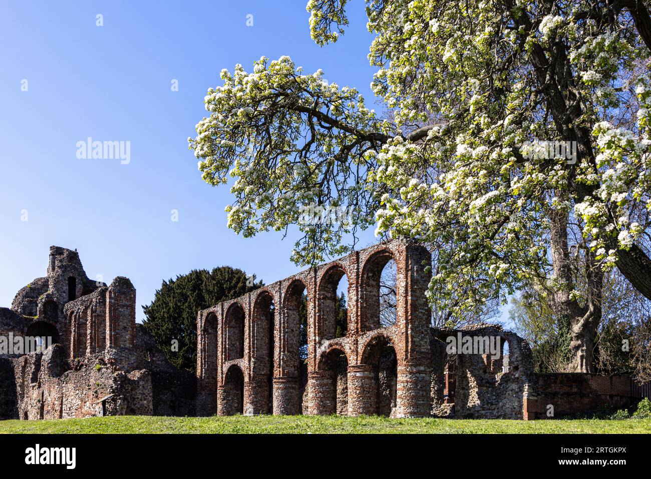 St Botolph's Priory Colchester Essex UK Stock Photo - Alamy