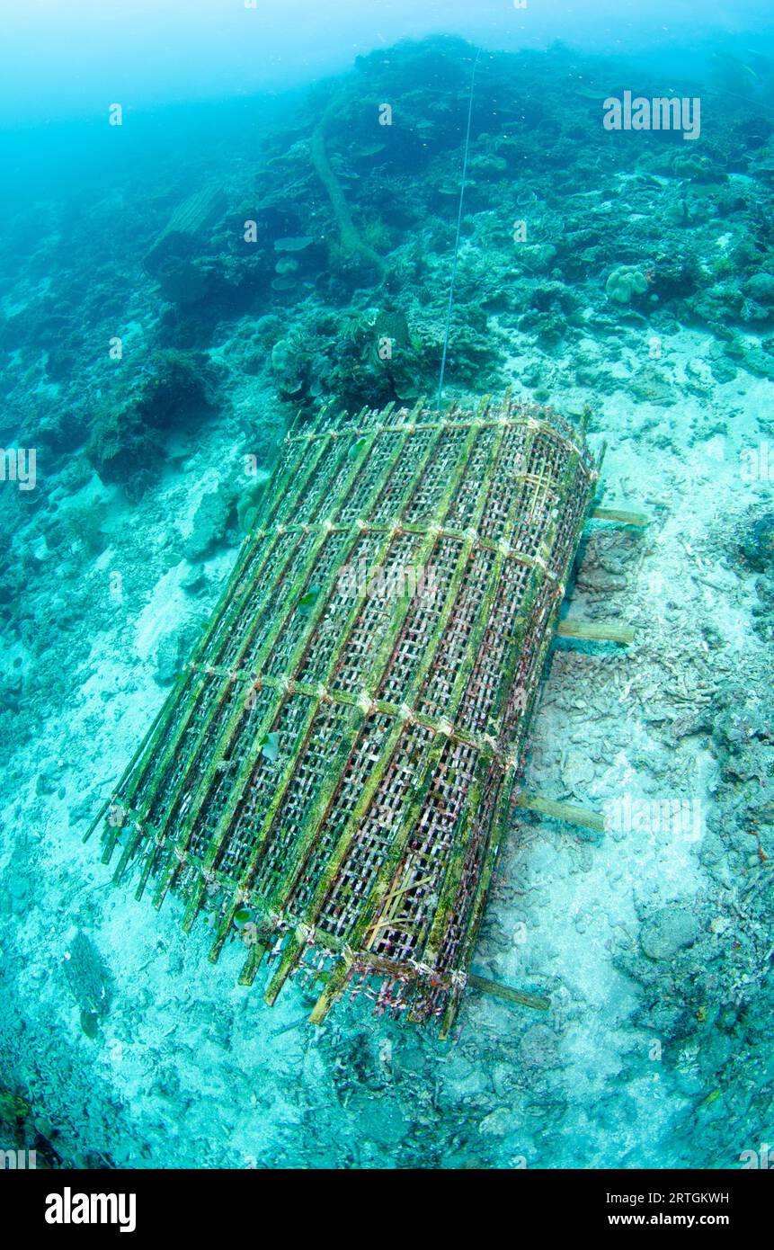 Fish trap, The Cove dive site, Atauro Island, East Timor Stock Photo ...