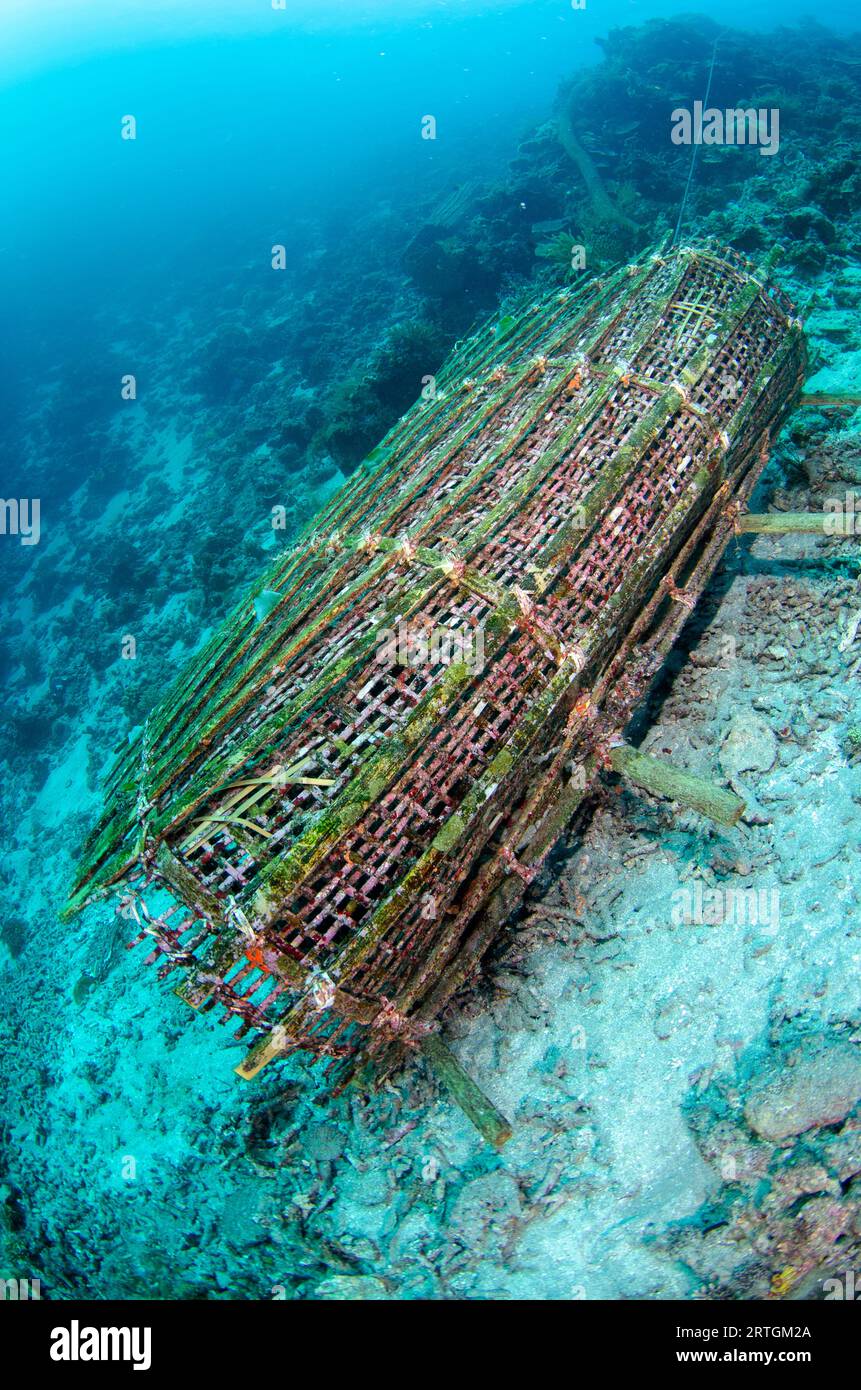 Fish trap, The Cove dive site, Atauro Island, East Timor Stock Photo ...