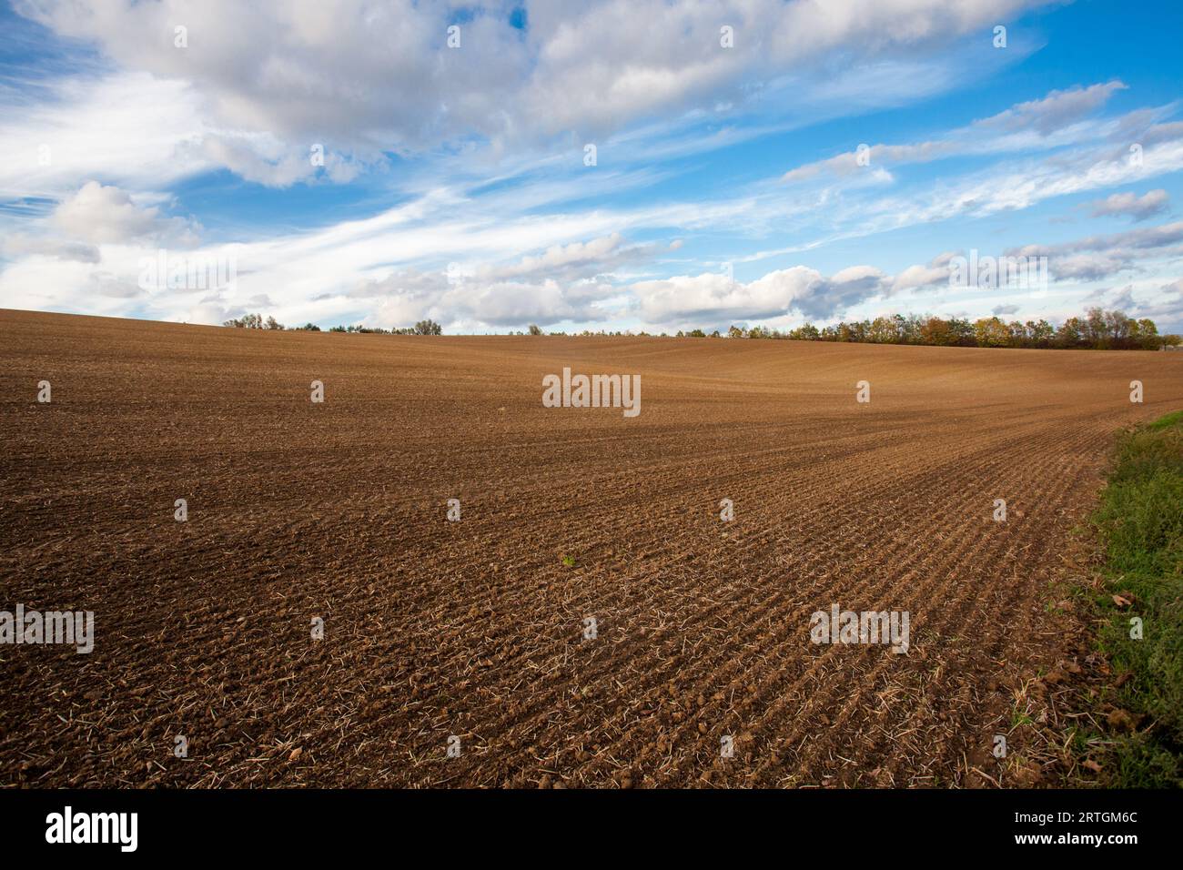 Nature Landscape with new Field at spring Stock Photo - Alamy