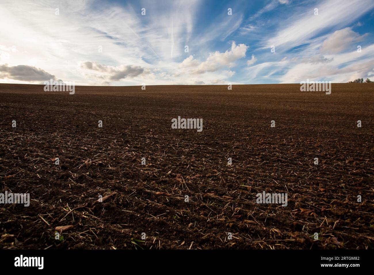 Nature Landscape with new Field at spring Stock Photo - Alamy