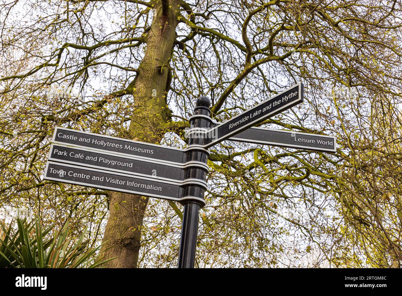 River colne colchester hi-res stock photography and images - Alamy