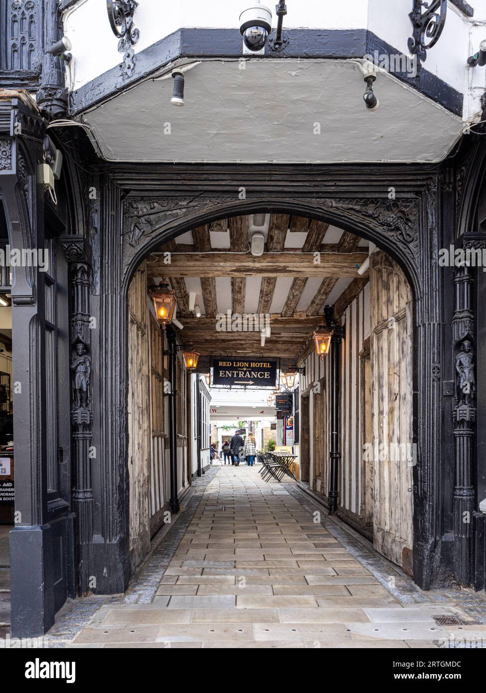 The lion yard hi-res stock photography and images - Alamy