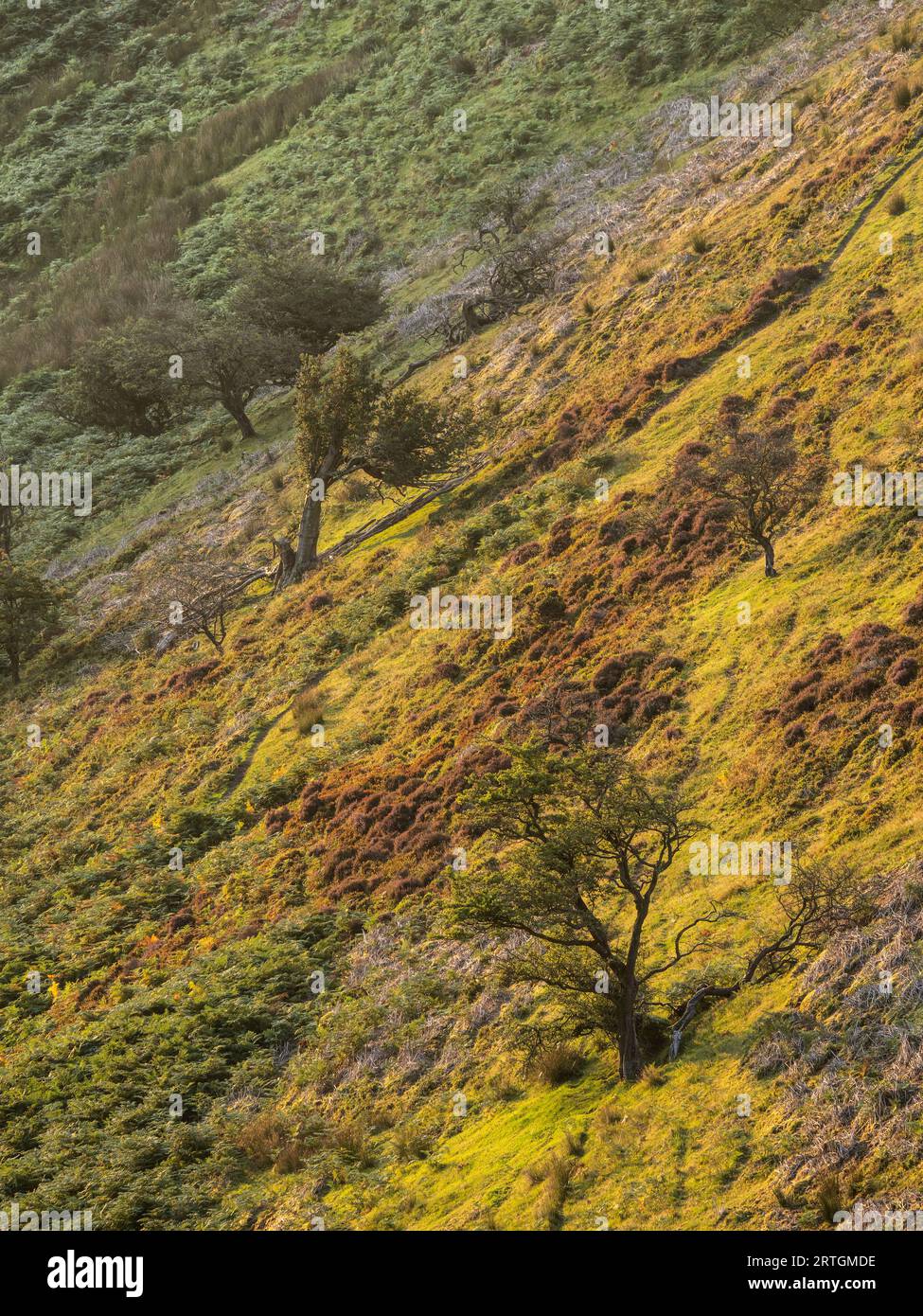 Interlocking spurs in shropshire hi-res stock photography and images ...