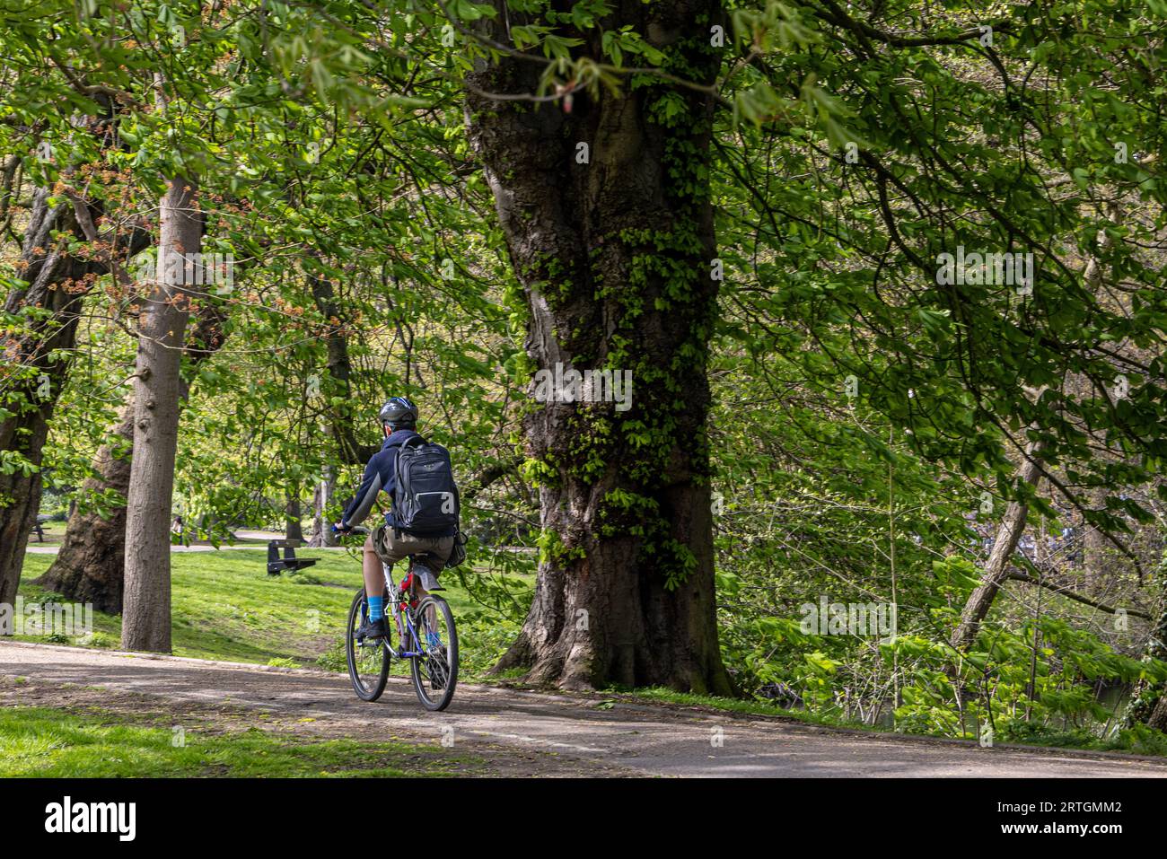 Colne park in essex hi-res stock photography and images - Alamy