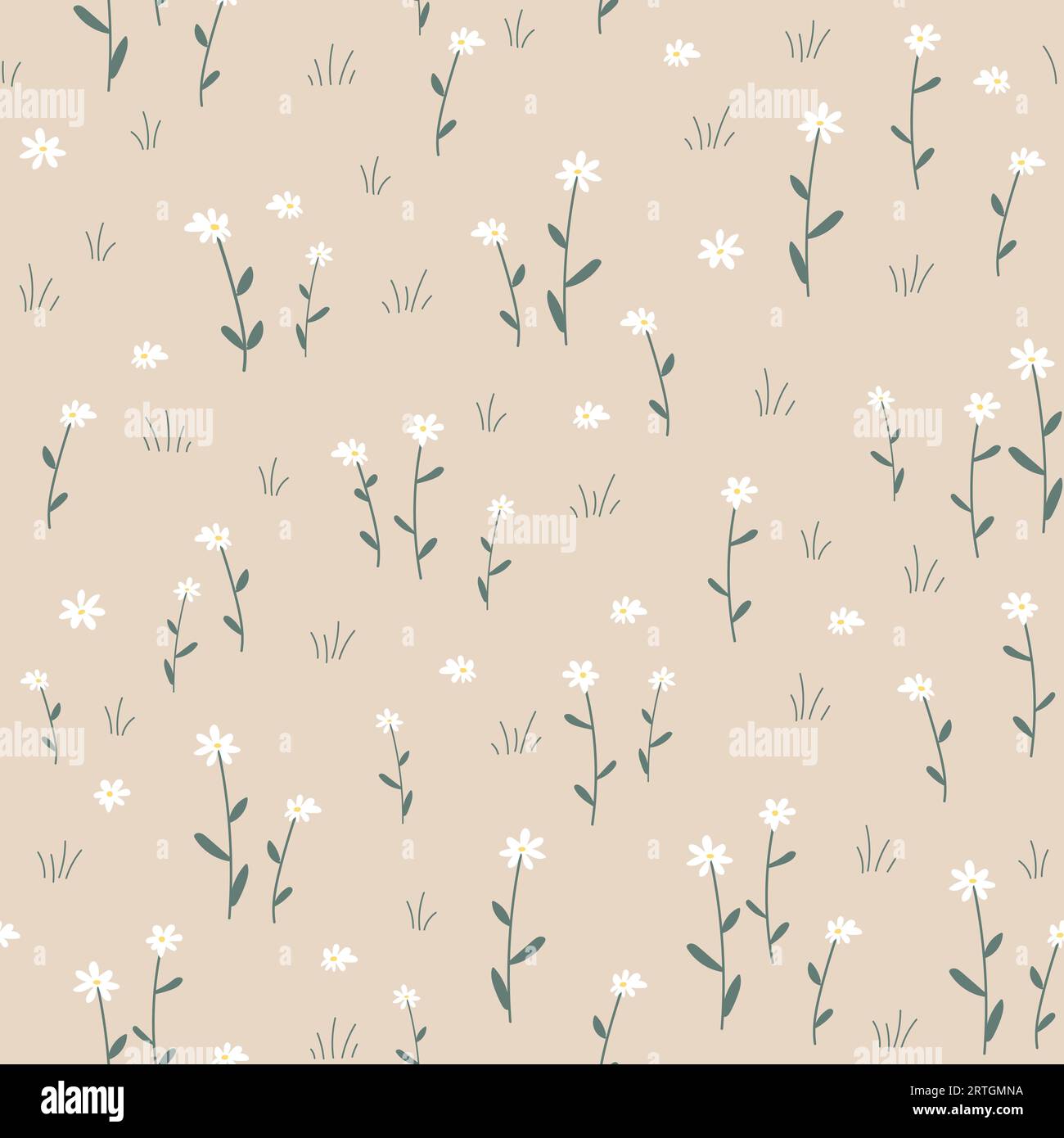 Seamless pattern with daisy flower. Small white flowers and green ...