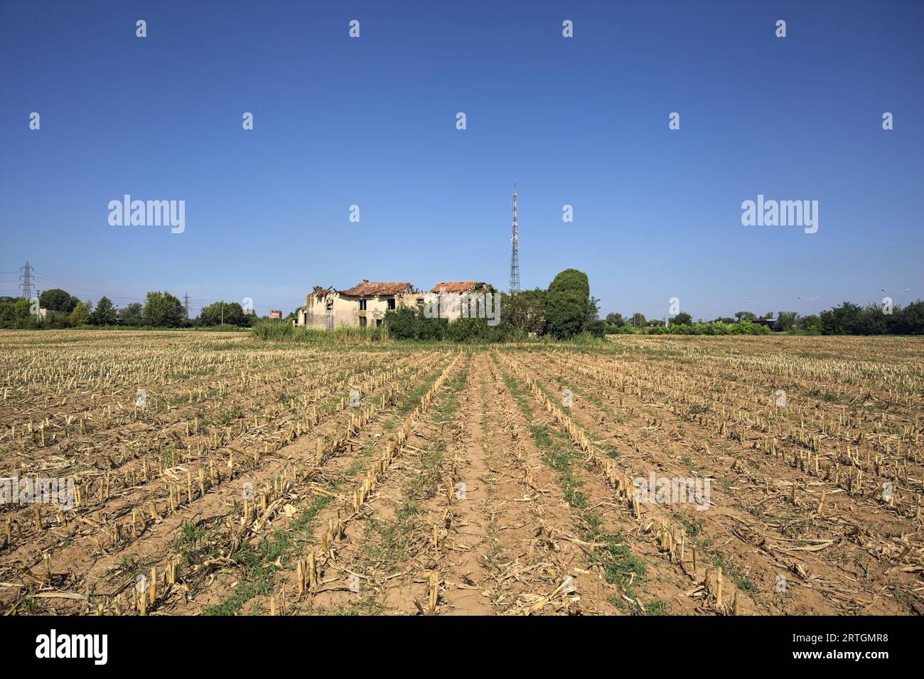 Abandoned country house surrounded by plants in a mowed corn field with ...