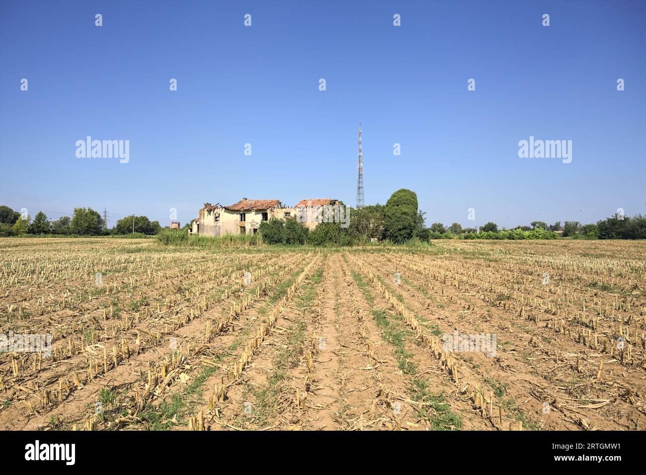 Abandoned country house surrounded by plants in a mowed corn field with ...