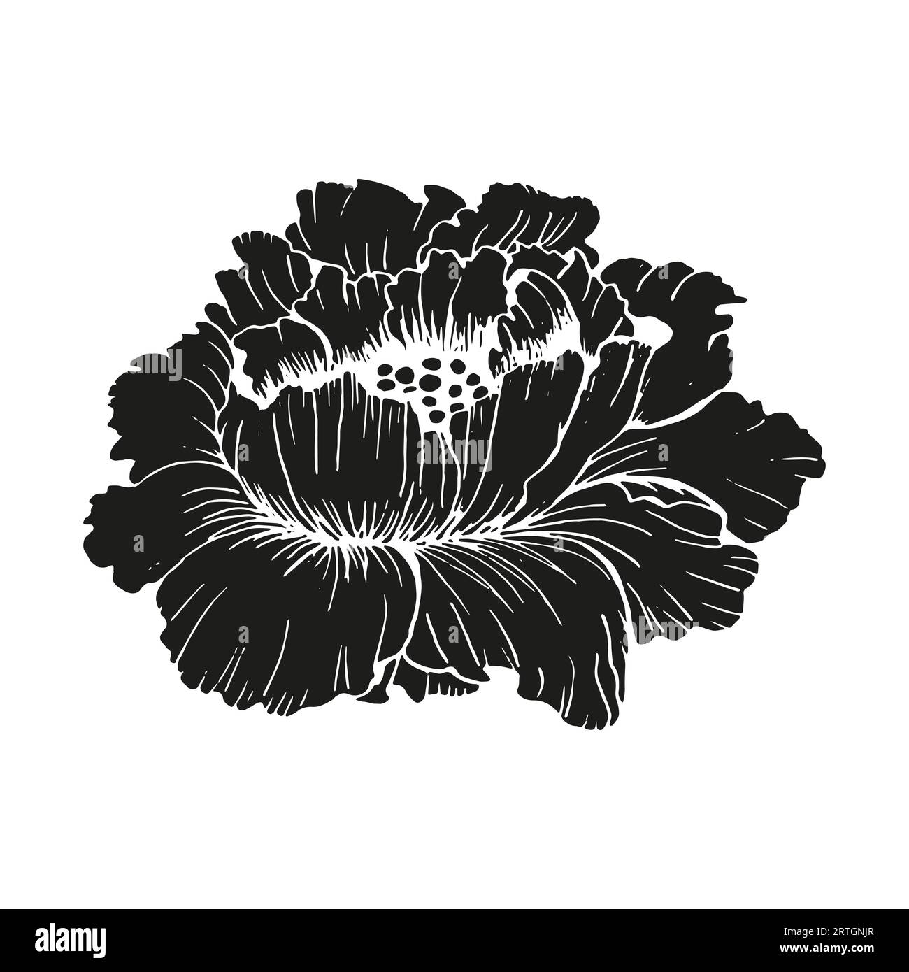 Chines peonies flower wreath frame for design card or invitation Floral ...