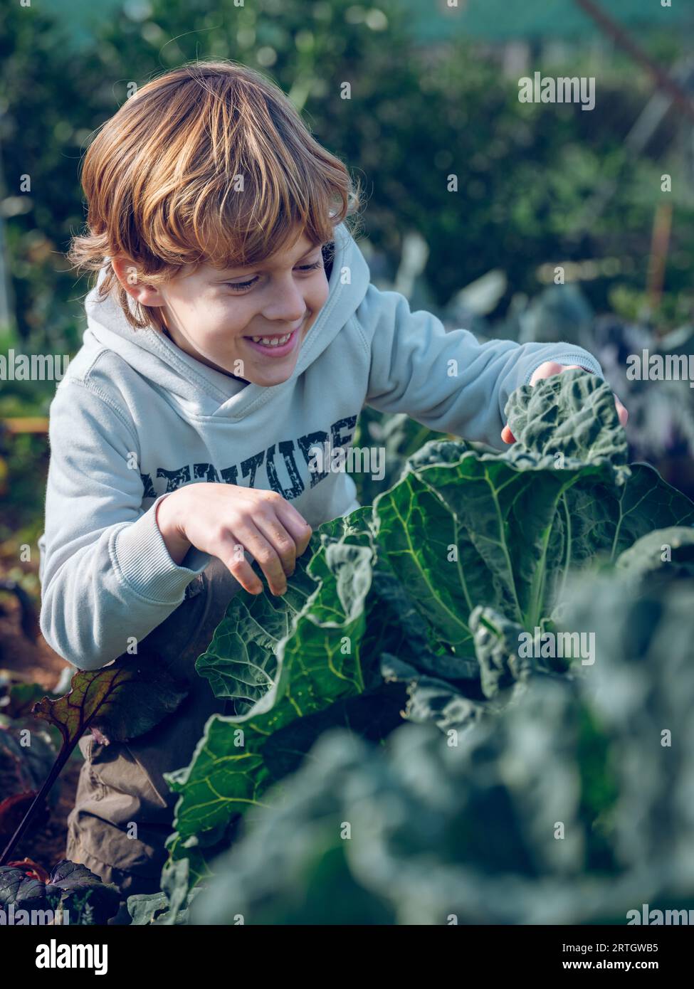 Cute little kid sitting on haunches in farmland and touching green ...