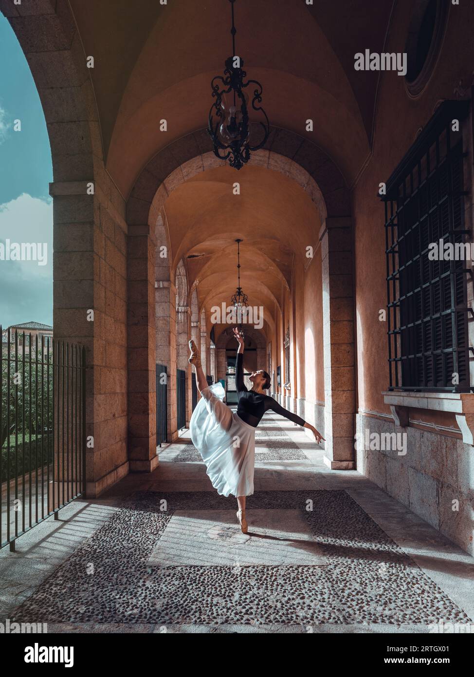 Full body of slim graceful ballerina in bodysuit and tutu standing in ...
