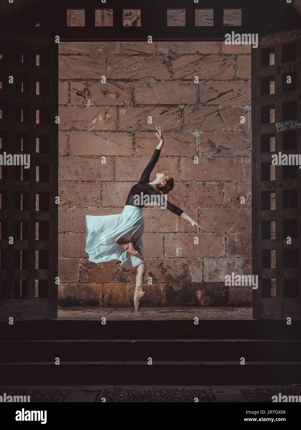 Side view of full body flexible gracious female ballet dancer dancing ...