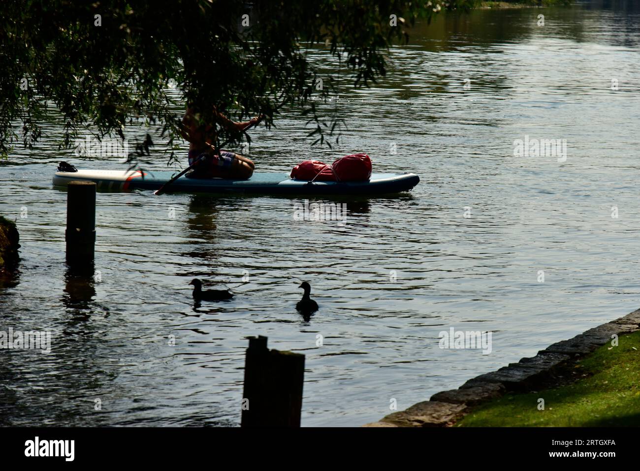 Person in kayak paddling down hi-res stock photography and images - Alamy