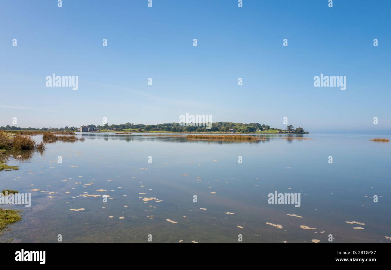 The salt marshes on the Dwyryd estuary, Ynys, Gwynedd, Wales, at high ...
