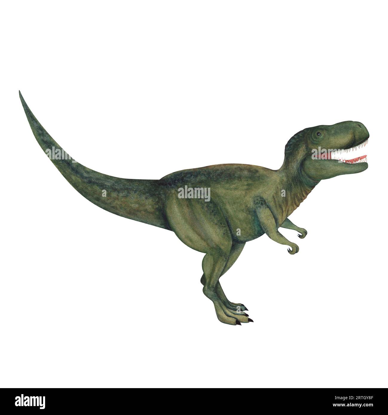 Supersaurus Vs T Rex