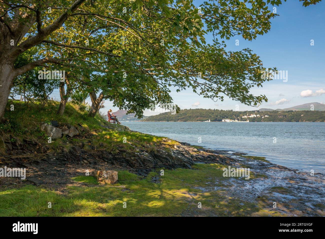 Woman sat on a wooden bench on the rocky shoreline at Traeth Bach with ...