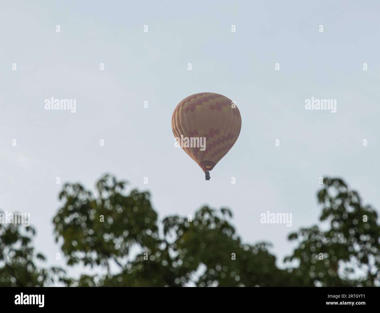Large hot air balloon flying across tree tops Stock Photo - Alamy