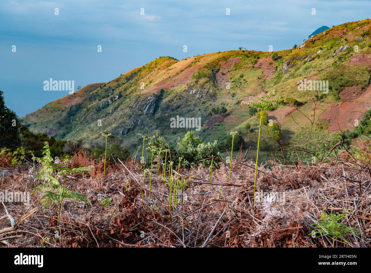 Panoramic view of mountain landscapes on Uluguru Mountains in Morogoro ...