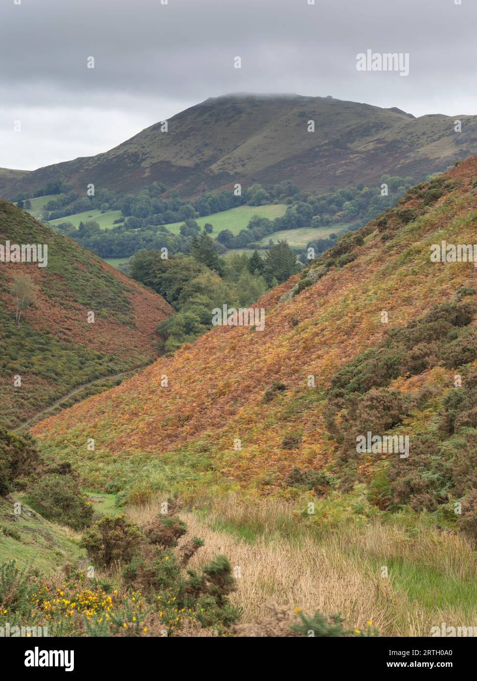 Beautiful and dramatic countryside in The Shropshire Hills aonb, Church ...