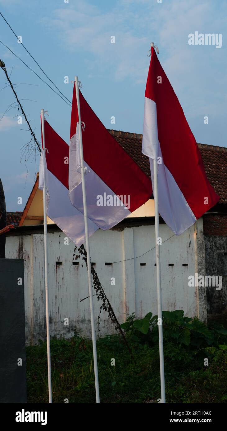 three red and white flags mounted on poles in a row Stock Photo - Alamy