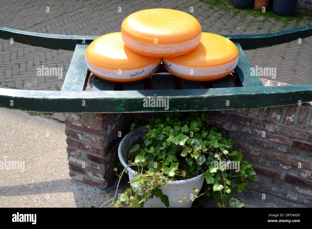 Artificial cheese display, cheese display, set of cheese Stock Photo ...