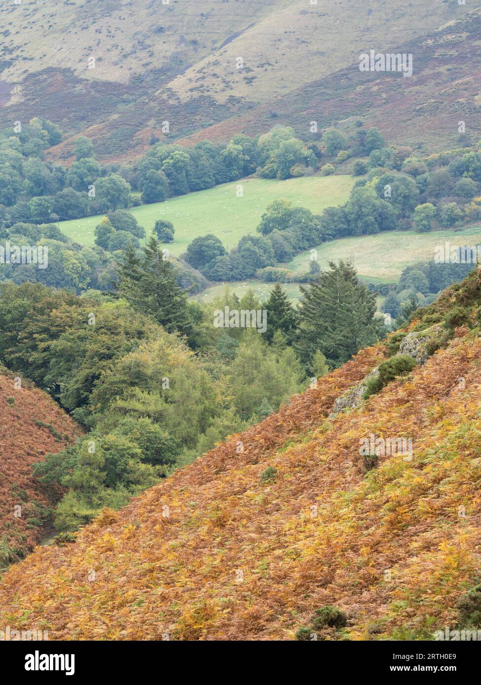 Beautiful and dramatic countryside in The Shropshire Hills aonb, Church ...