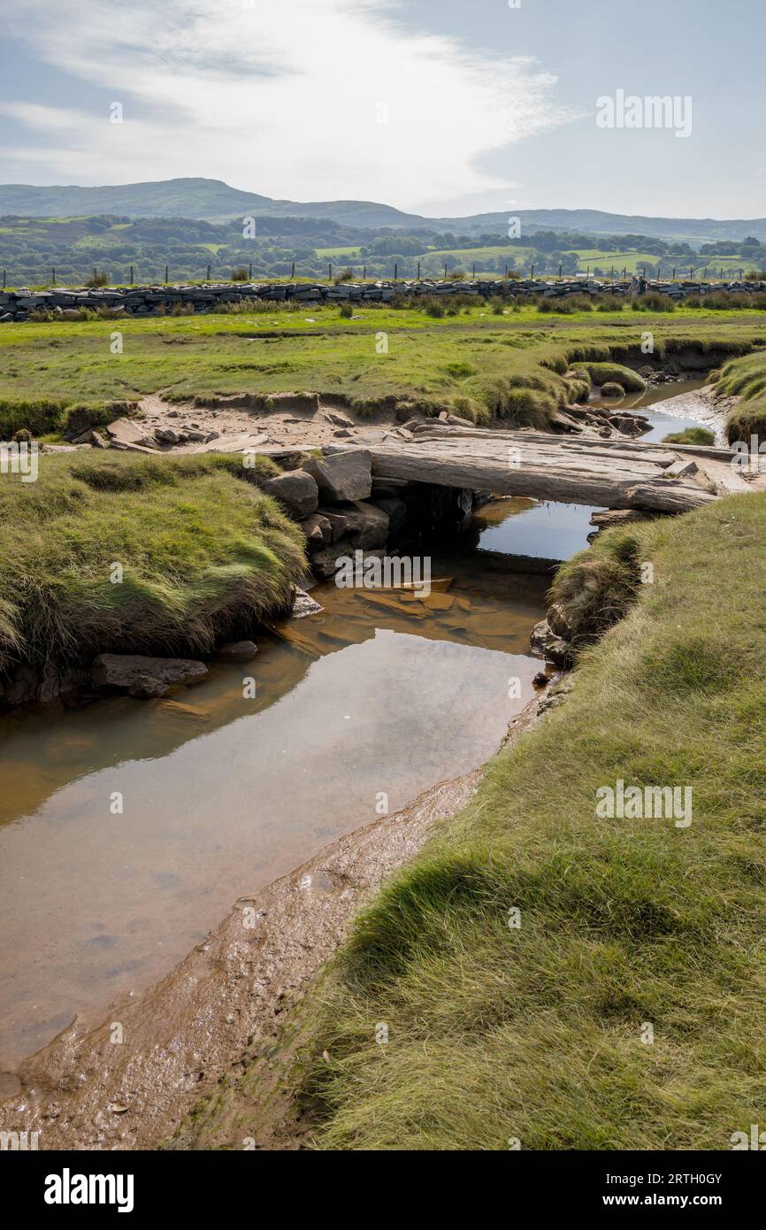The salt marshes on the Dwyryd estuary, Ynys, Gwynedd, Wales, at low ...