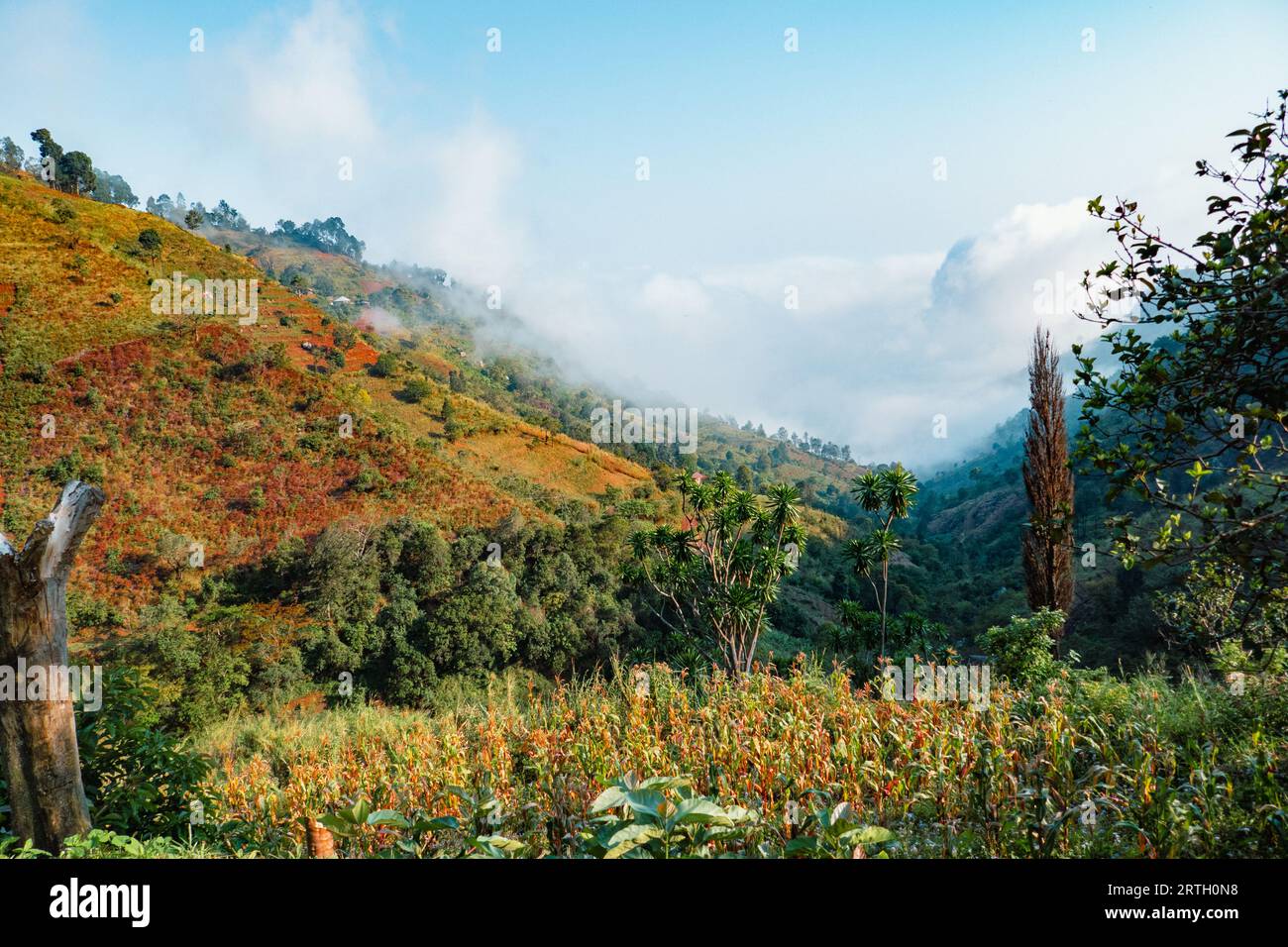 African landscapes with houses and agricultural farms in Uluguru ...