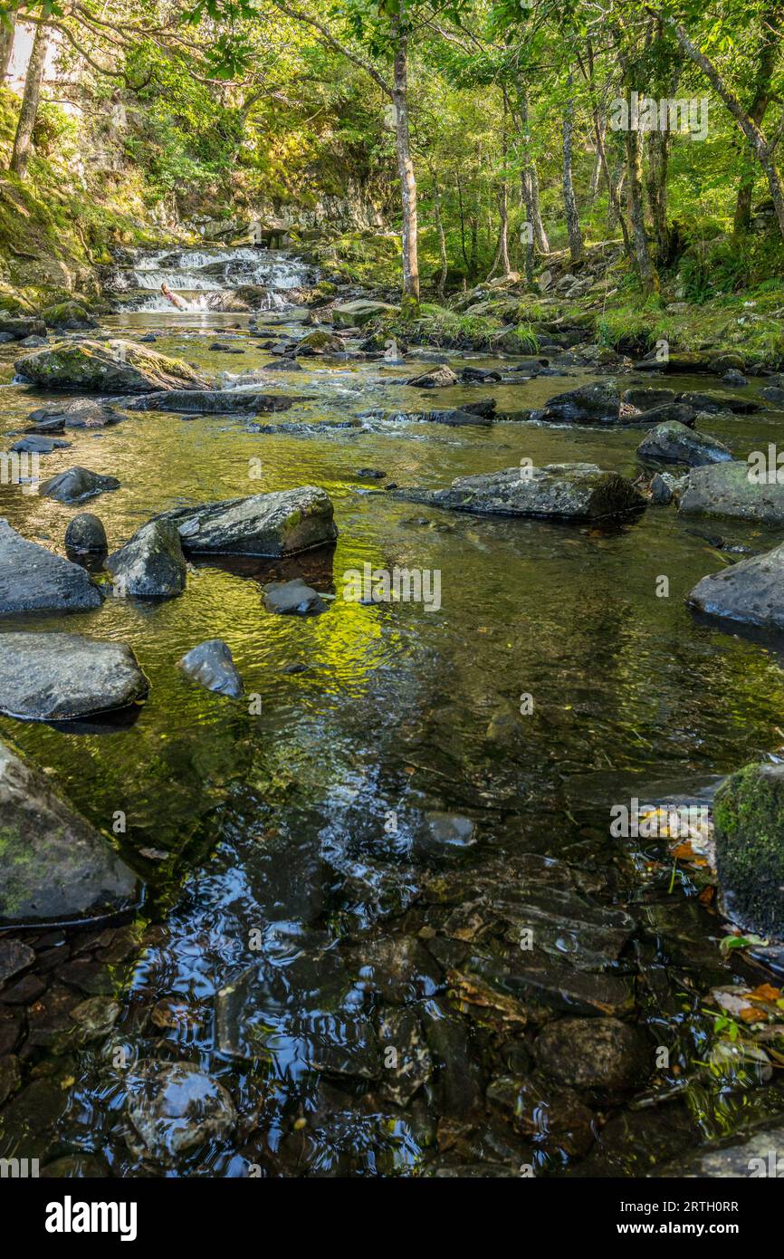Nantcol river and waterfalls in a woodland setting Stock Photo - Alamy