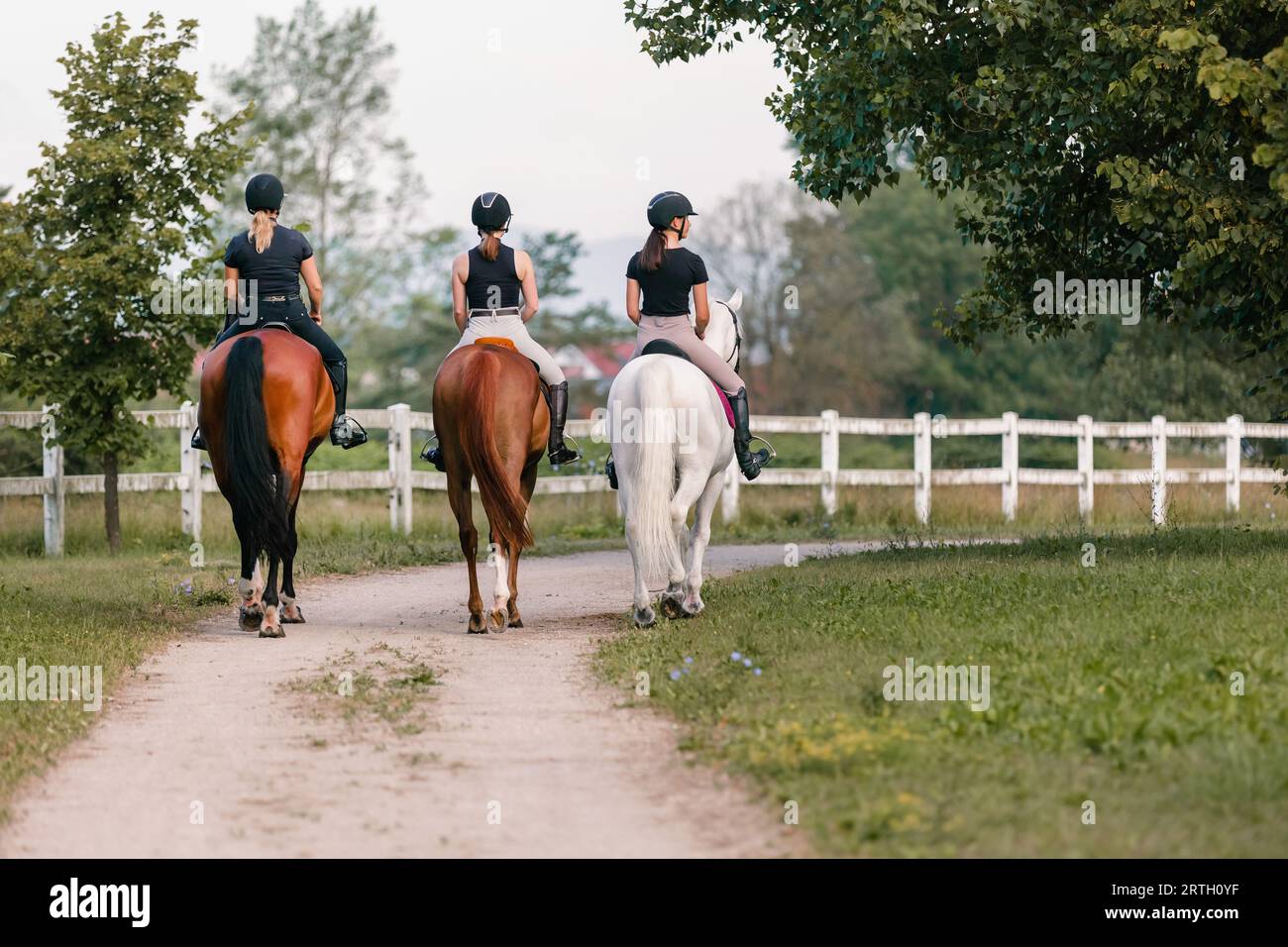 Rear view of three female riders riding horses side by side near white ...
